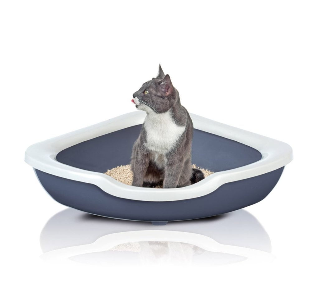 macska-alom-1200×1120 | Pannondoktor.hu