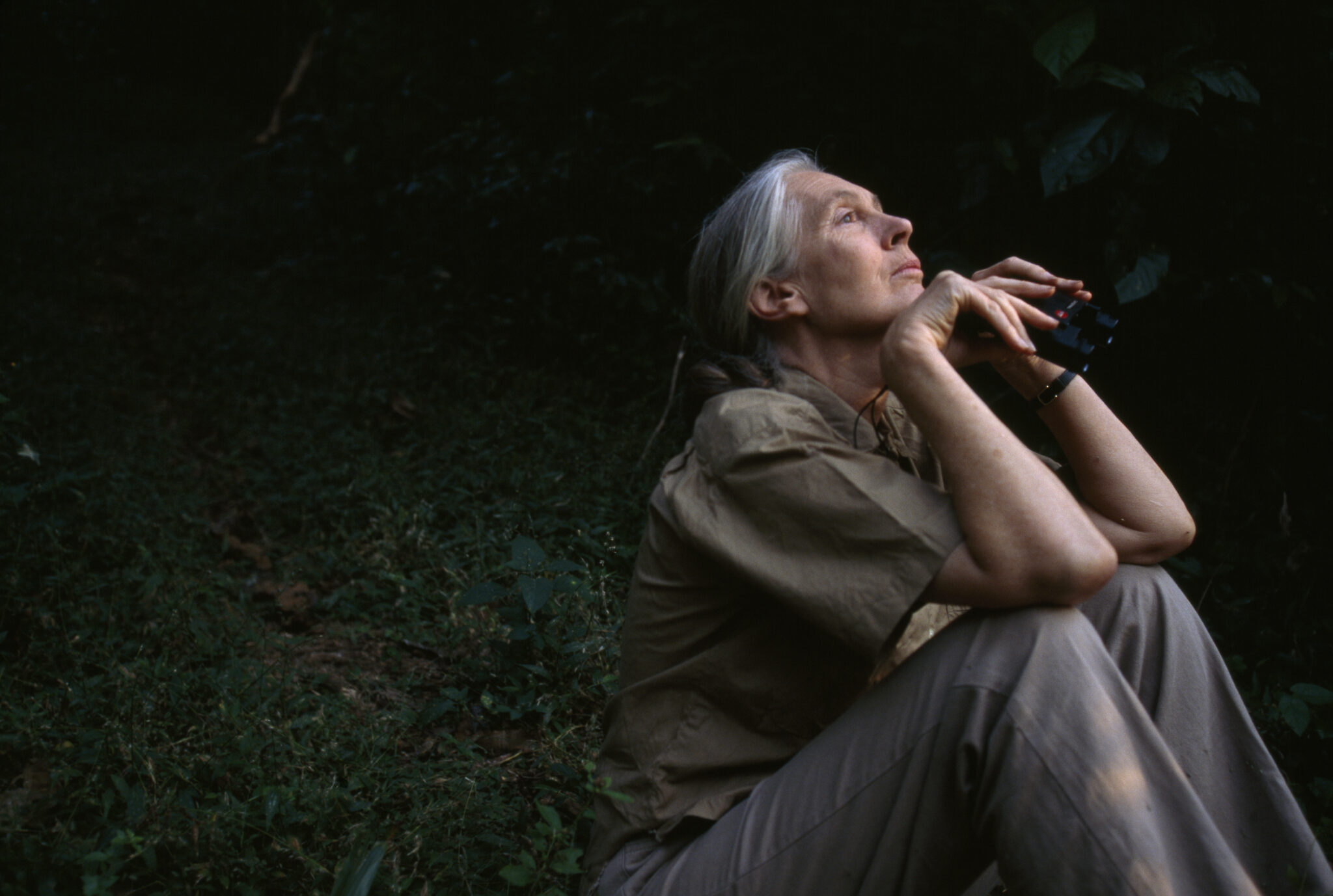 Jane Goodall in Gombe Stream National Park, Tanzania. Photo by Michael ...